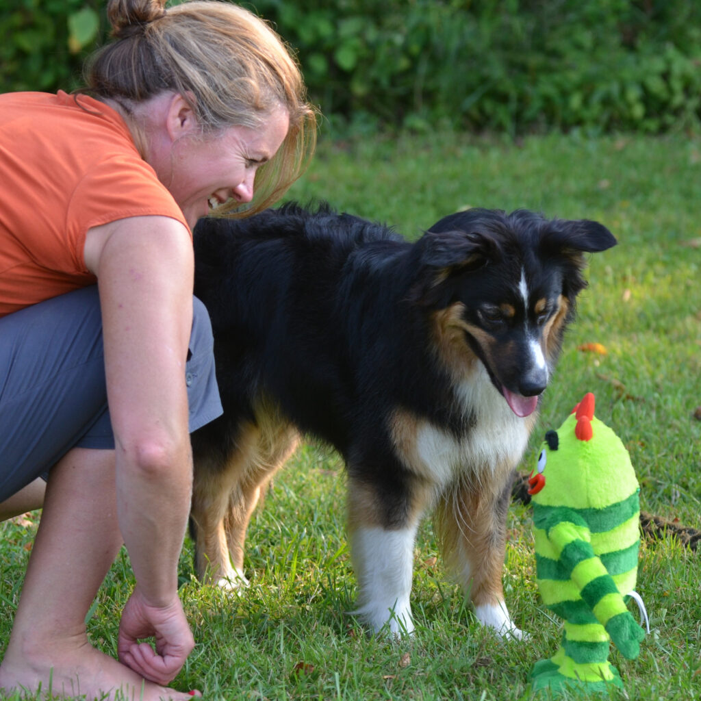 FAT (Functional Assessment Tracking) – Evaluate & track a dog's ...