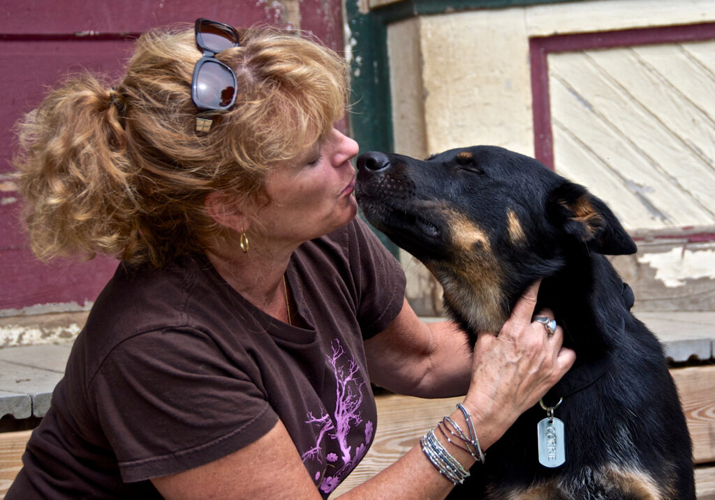 FAT (Functional Assessment Tracking) – Evaluate & track a dog's ...